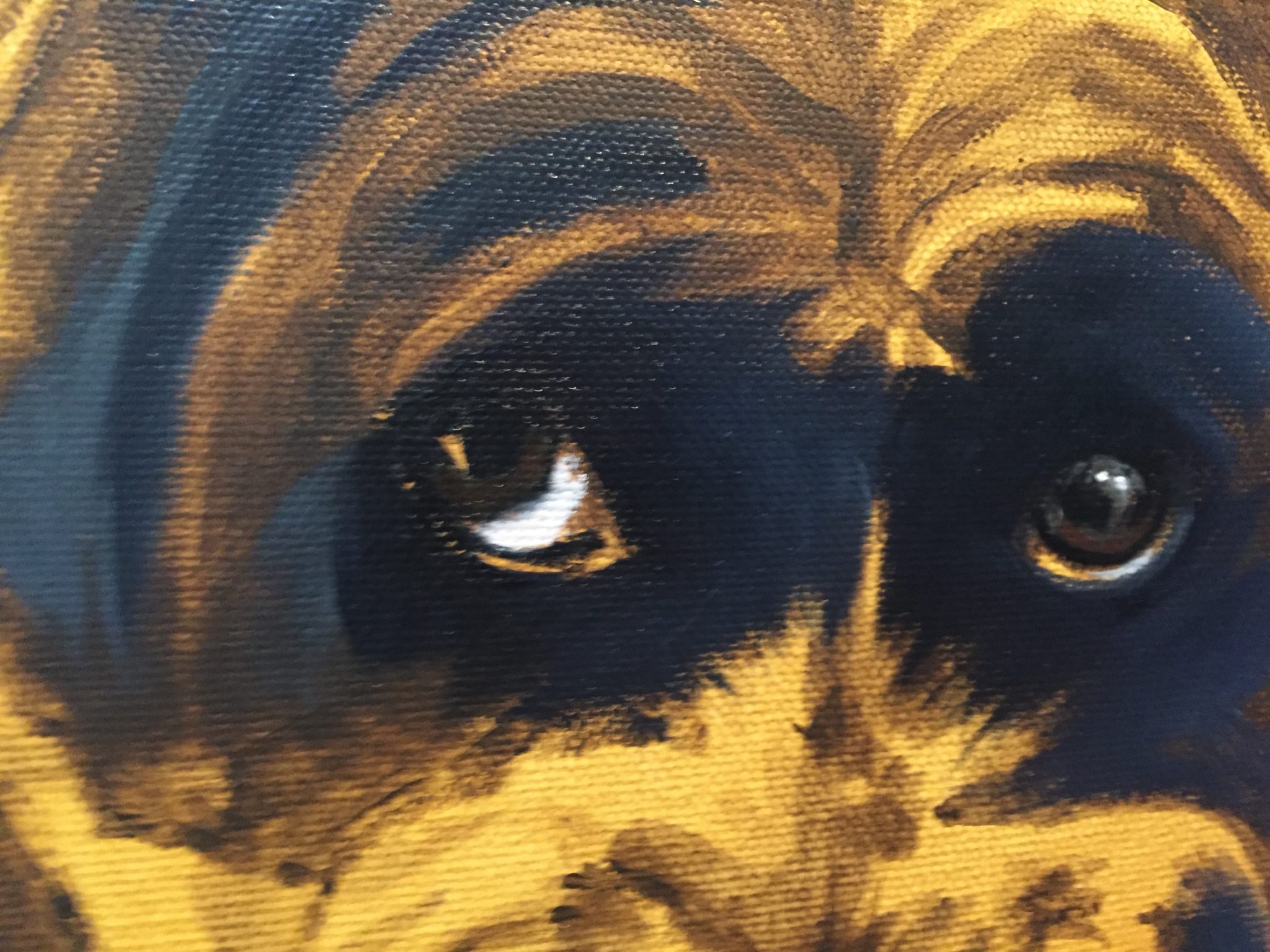 How To Paint A Dog Portrait - Shelley Hanna Fine Art