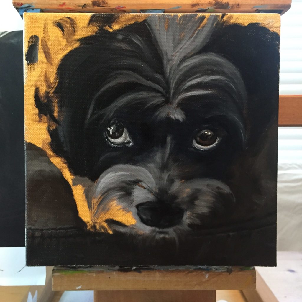 How To Paint A Dog Portrait - Shelley Hanna Fine Art