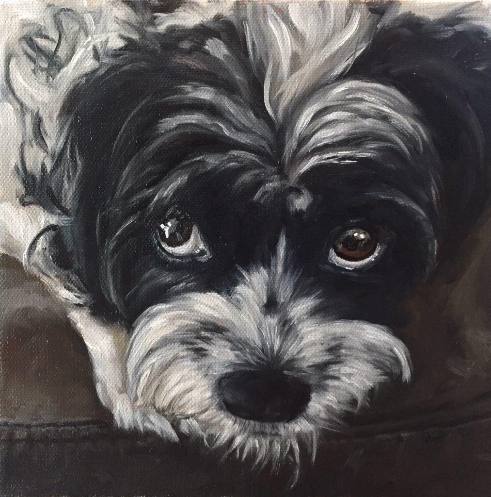 How To Paint A Dog Portrait - Shelley Hanna Fine Art