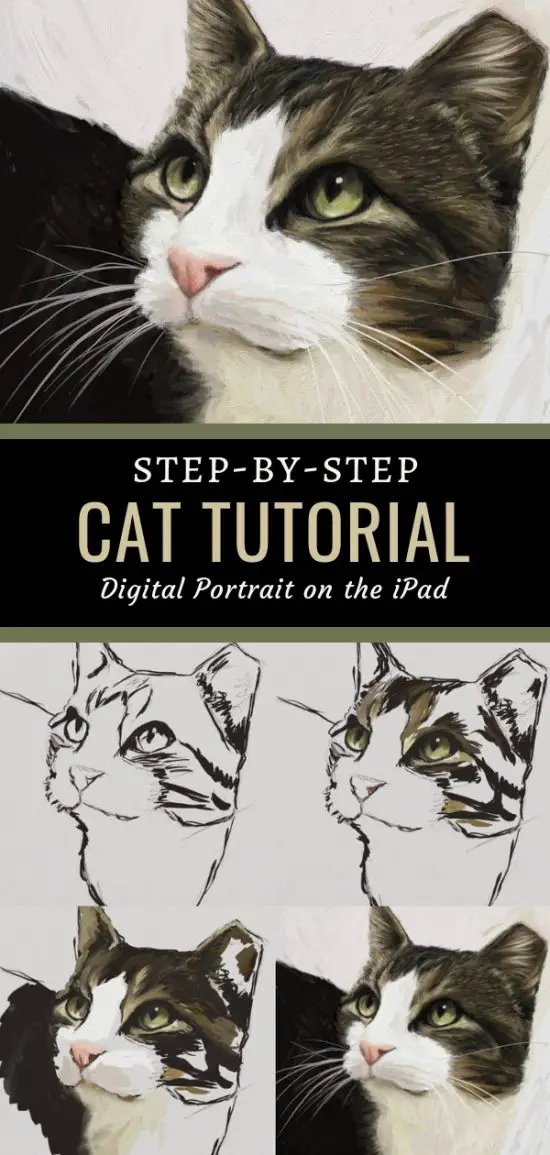 How To Paint A Cat On The iPad Pro – Digital Painting Tutorial