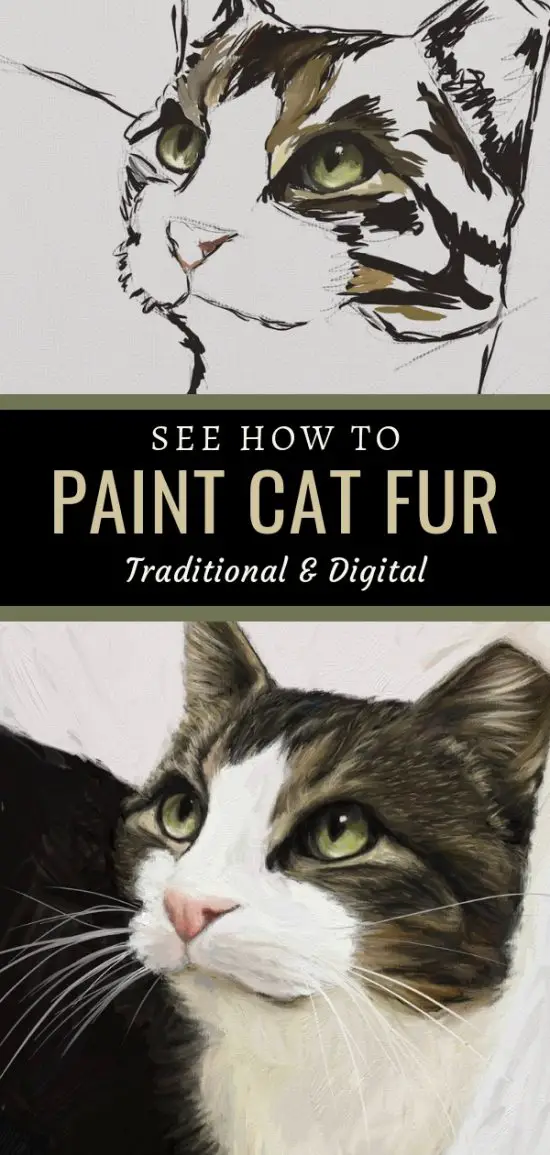 How To Paint A Cat On The iPad Pro – Digital Painting Tutorial