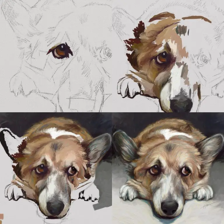 How To Paint A Corgi - 9 Helpful Dog Portrait Tips