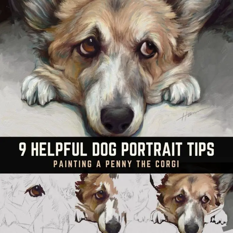 How To Paint A Corgi - 9 Helpful Dog Portrait Tips