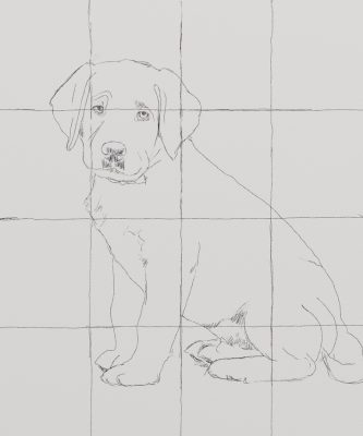 How To Paint A Puppy Portrait From A Reference Photo