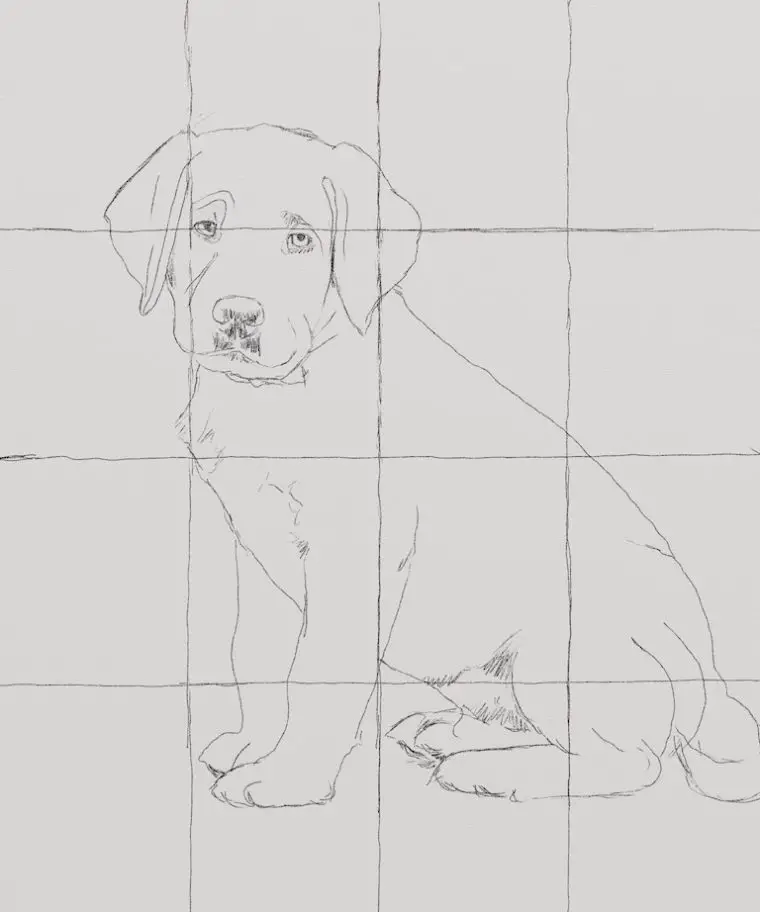 How To Paint A Puppy Portrait From A Reference Photo