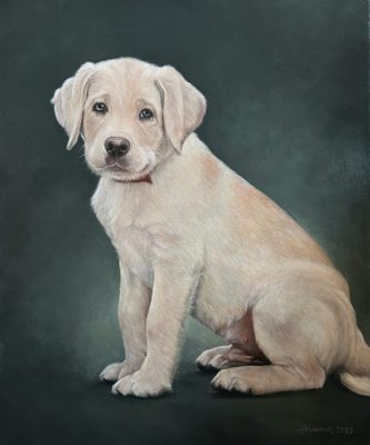 How To Paint A Puppy Portrait From A Reference Photo